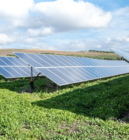 Why Choose 1Energy Clean | Trusted Renewable Energy Partner